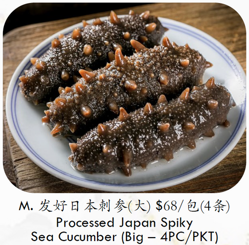 19M) Processed Japan Spiky Sea Cucumber (Big) 发好日本刺参 (大) | tamkah