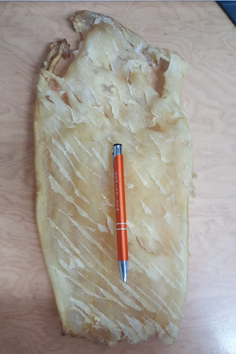 Dried Fish Lip 干鱼唇 | tamkah