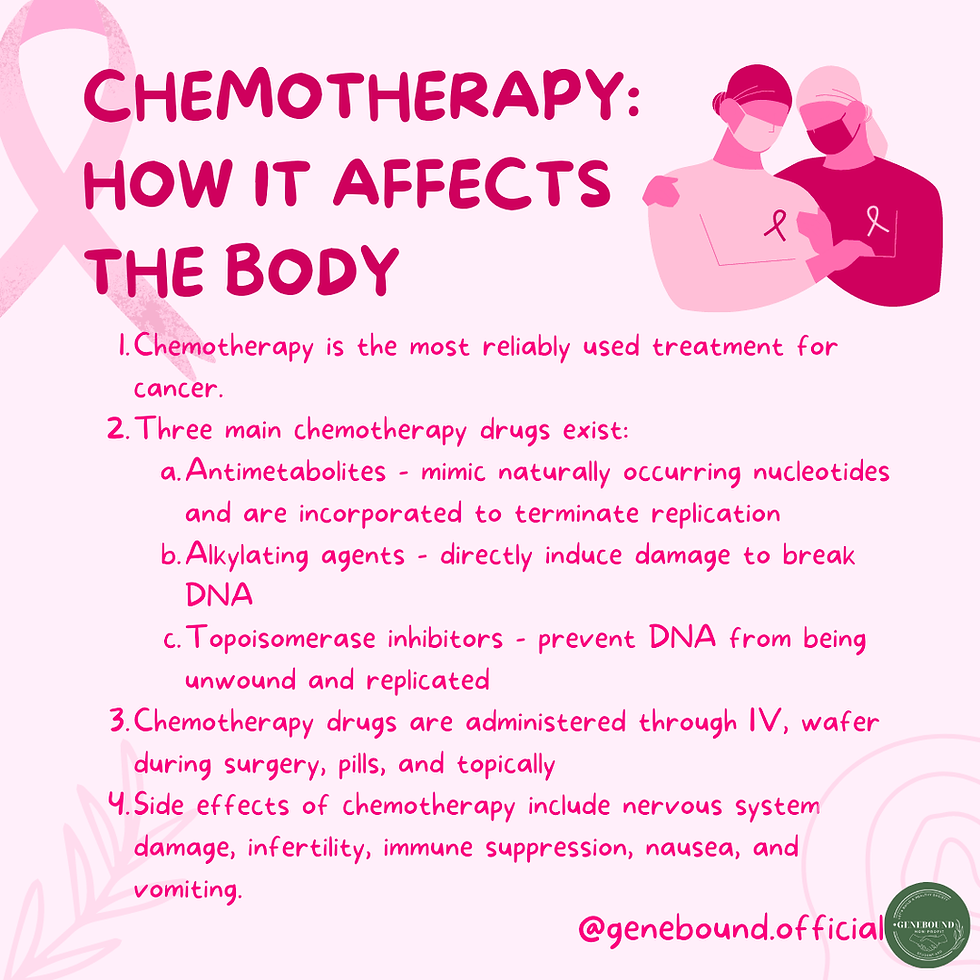 Chemotherapy: how it affects the body
