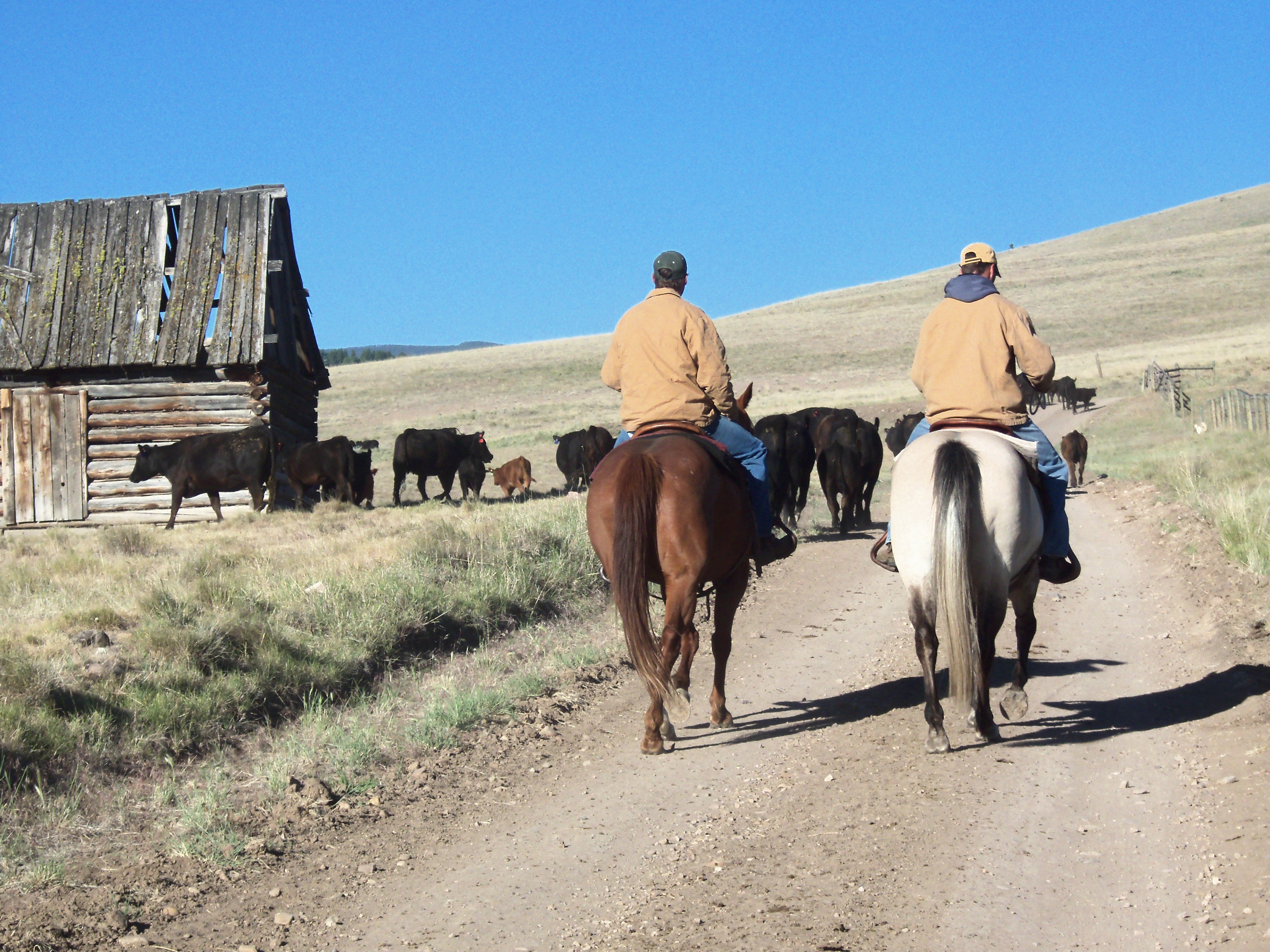 RANCH | skinnerranch