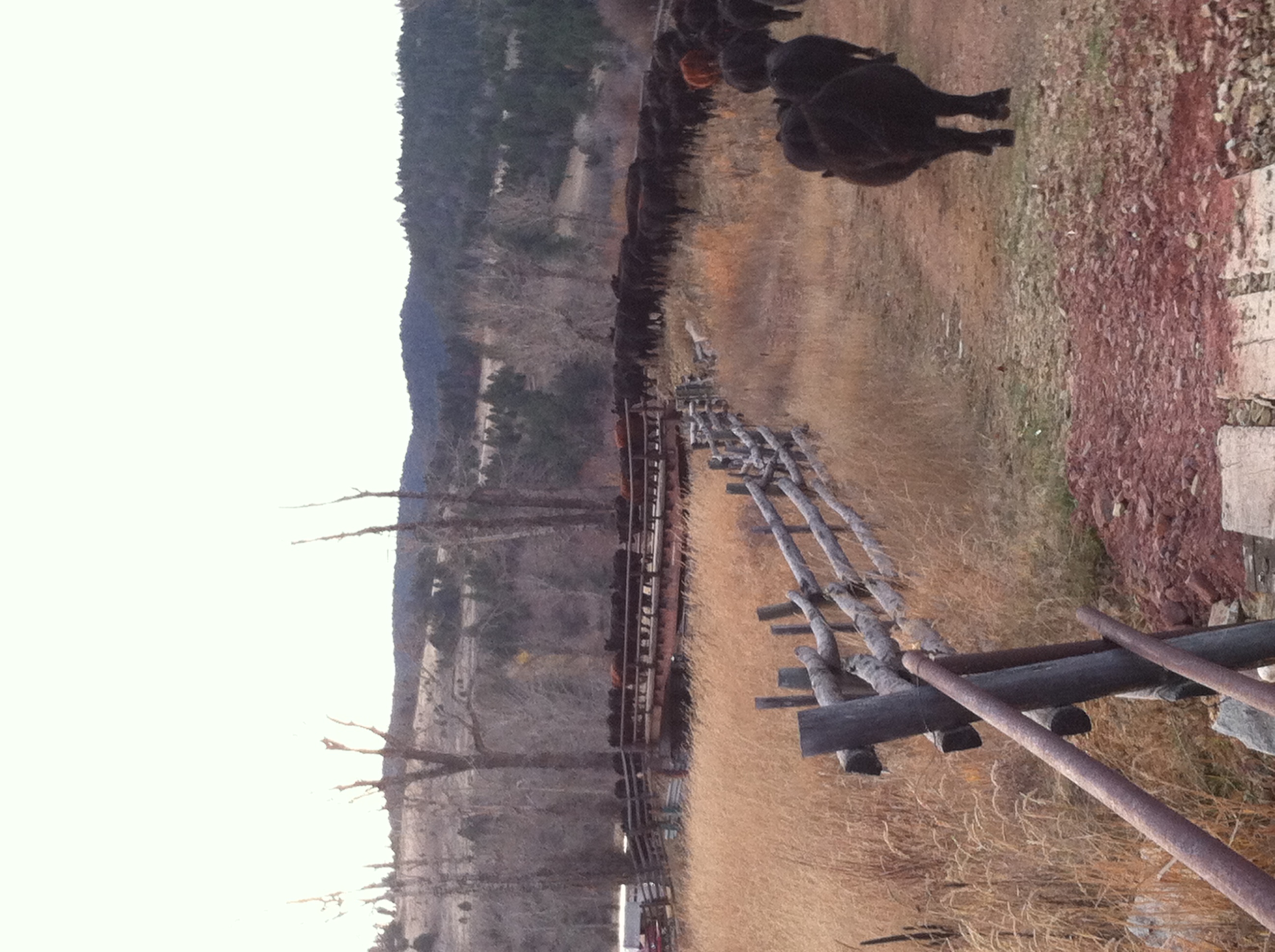 RANCH | skinnerranch