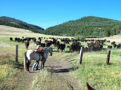 RANCH | skinnerranch