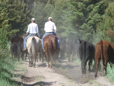 RANCH | skinnerranch