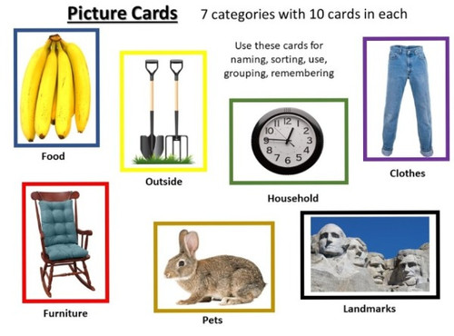Picture/Vocabulary Cards | playtoremember.com