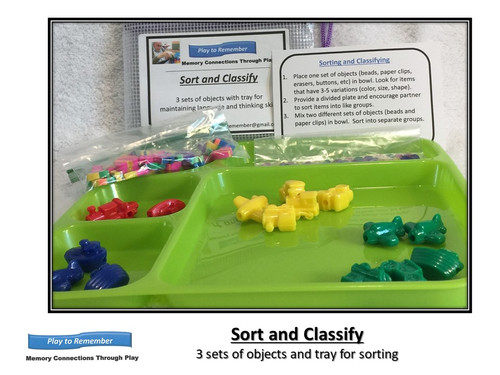 Sort and Classify Game | playtoremember.com