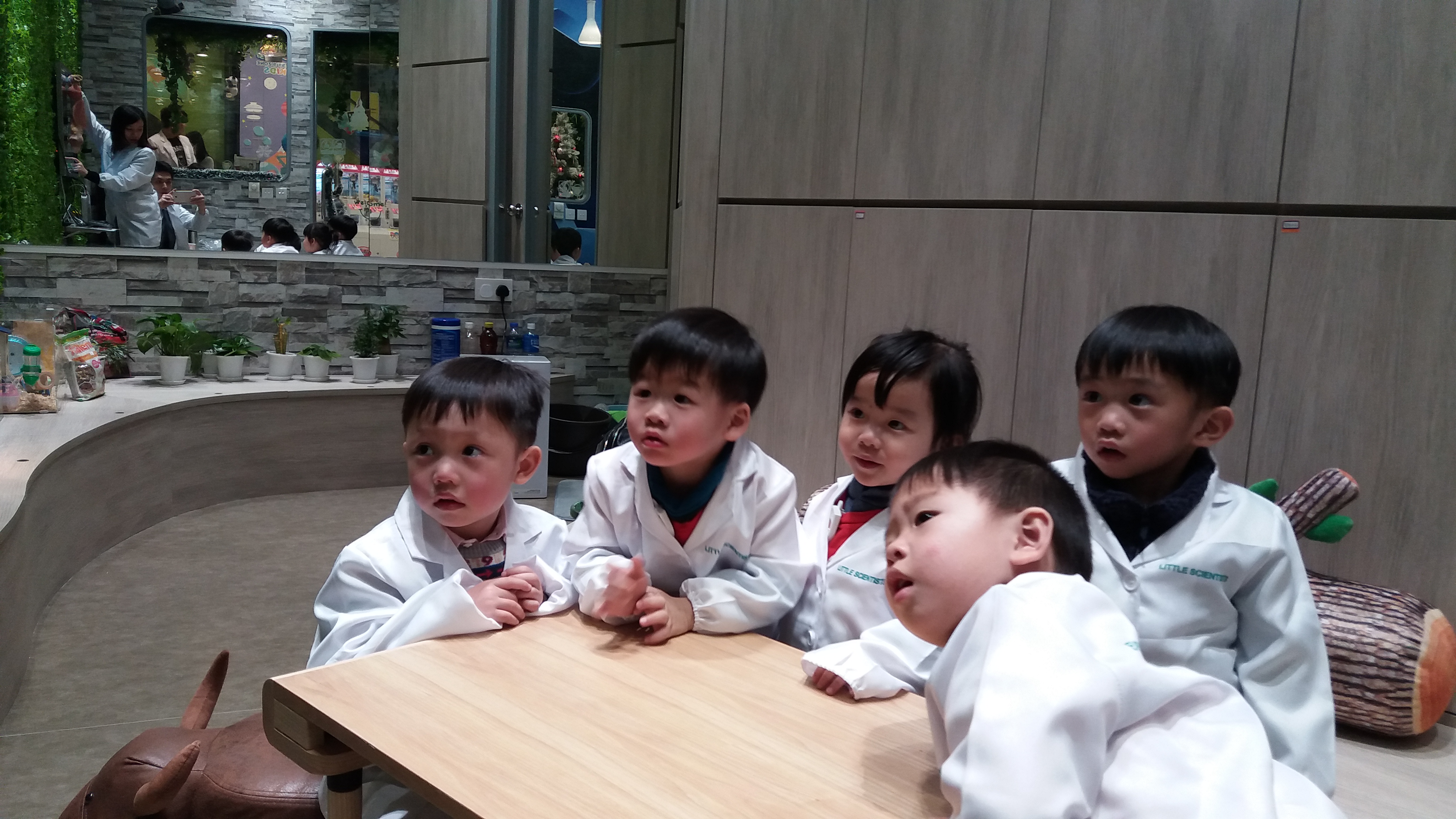 基地首頁 | littlescientists