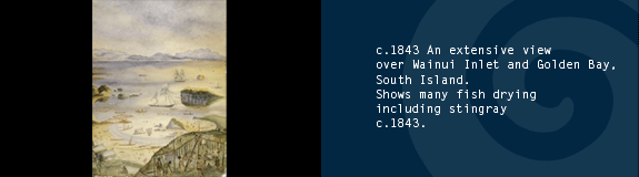 The History of New Zealand Marine Biology