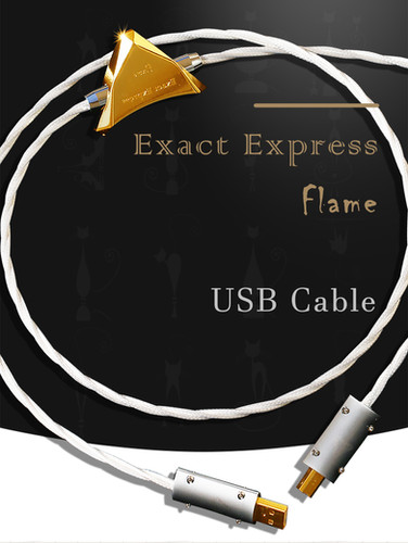 Flame Series • USB Cable | Vinshine Audio