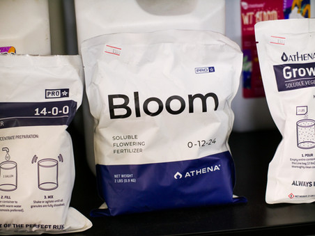 Grow Space Bangkok, Grow Store , Garden Tools , Indoor Cannabis, Light ...