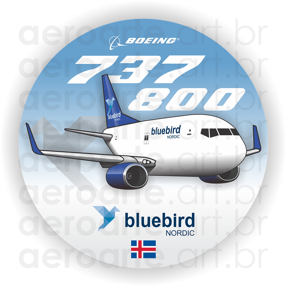 Boeing Stickers | Aeroarte