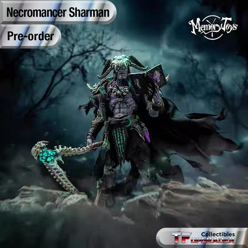 Memory Toys World of Warcraft 1/12 Necromancer Sharman | TF Upgrader