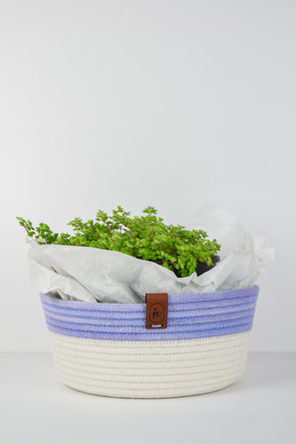 The Ava | Basket | inline