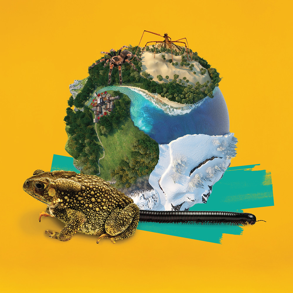 Our amazing planet is so diverse!