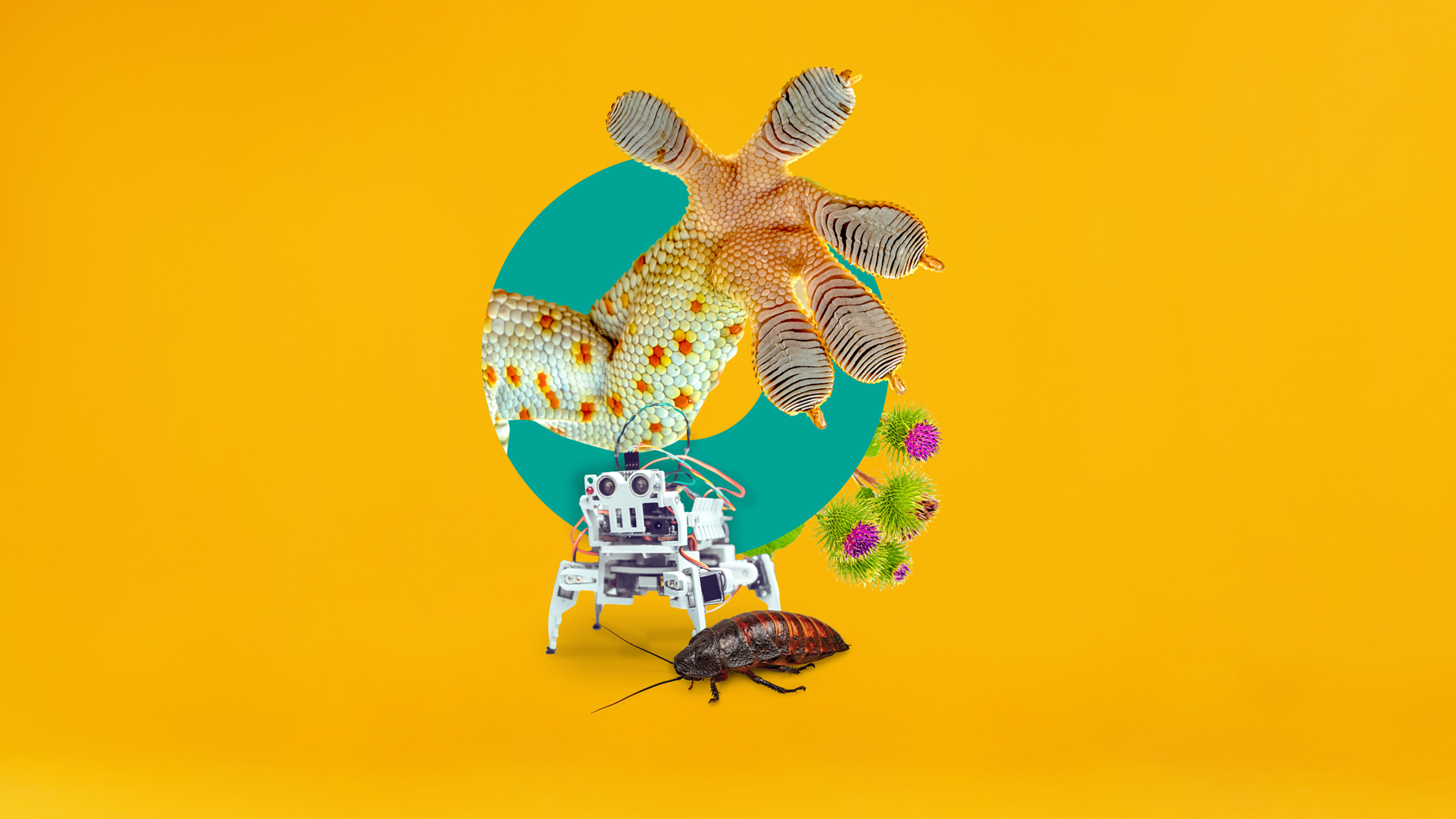 Biomimicry