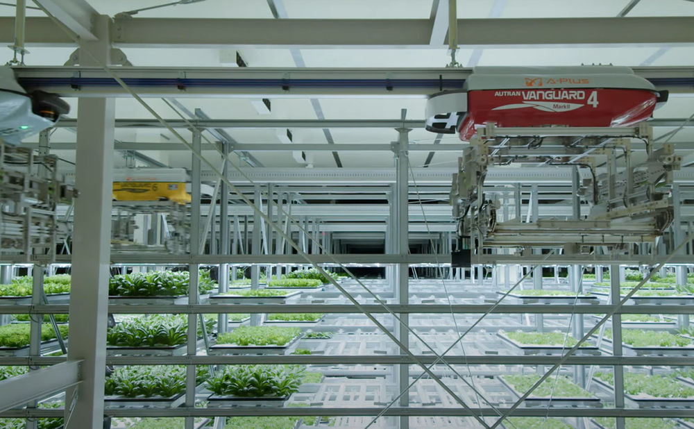 【最新鋭】自動化植物工場 Farm & Factory TAMURA