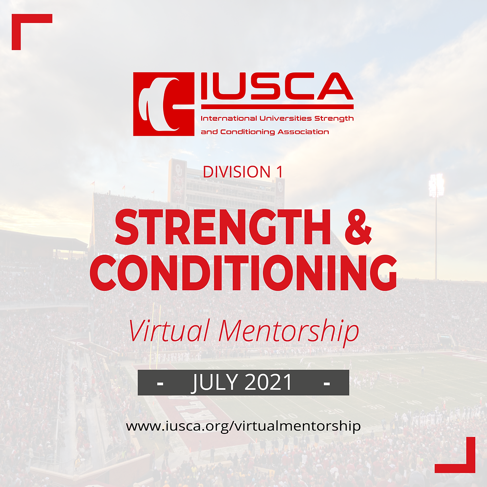 IUSCA Virtual Mentorship