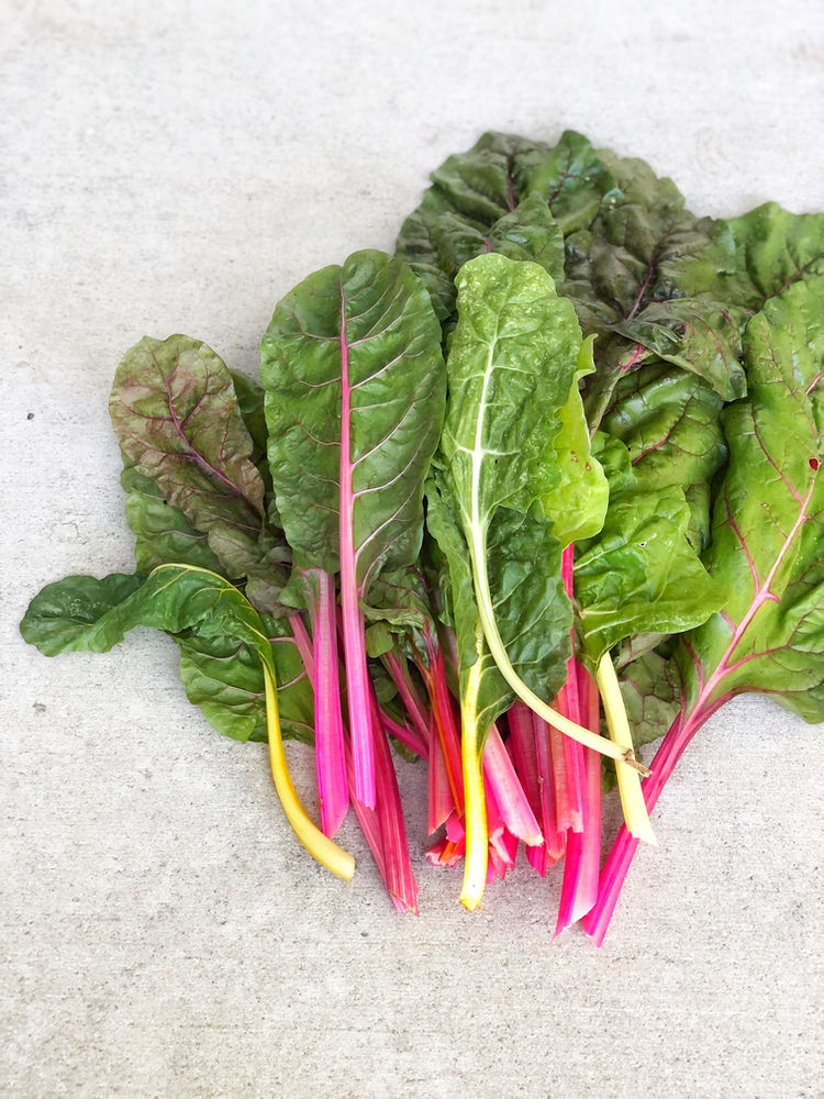 Vegetarian Stuffed Swiss chard Rolls