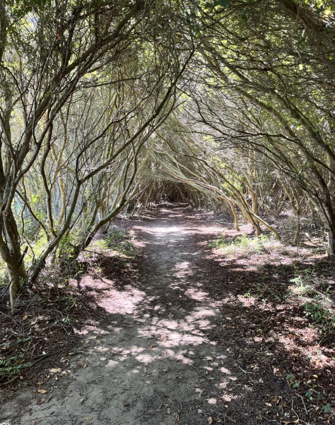 Photography Non-living Objects Color Grades PreK-2