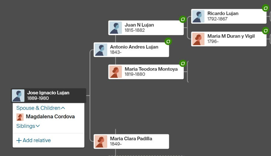 Stop Making Messes on Your Ancestry Family Tree