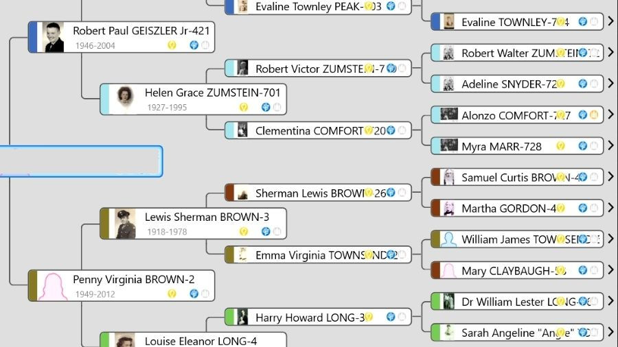 Never Get Lost In Your Tree Again With RootsMagic Color-Coding