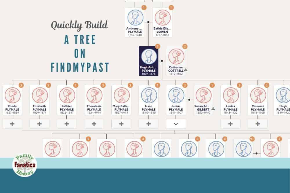 How to Easily Build Your Family Tree on FindMyPast