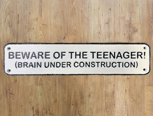 “BEWARE OF THE TEENAGER...” ‘Made-Aged’ Cast-Iron Repro - Flat Sign ...
