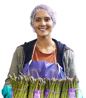 Recruitment Now: Manufacturing Jobs In Christchurch, NZ