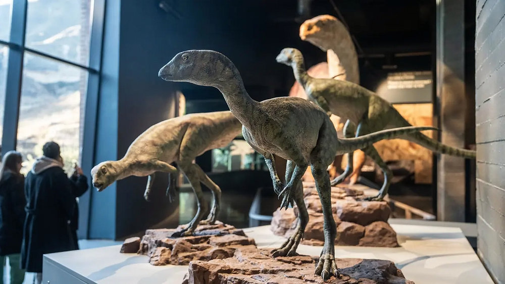 Visit the New Free State Dinosaur Centre with Zeigen Tours