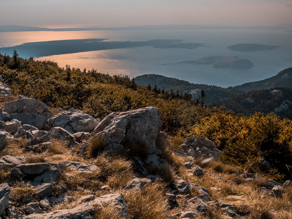 Rewilding in the Velebit Mountains