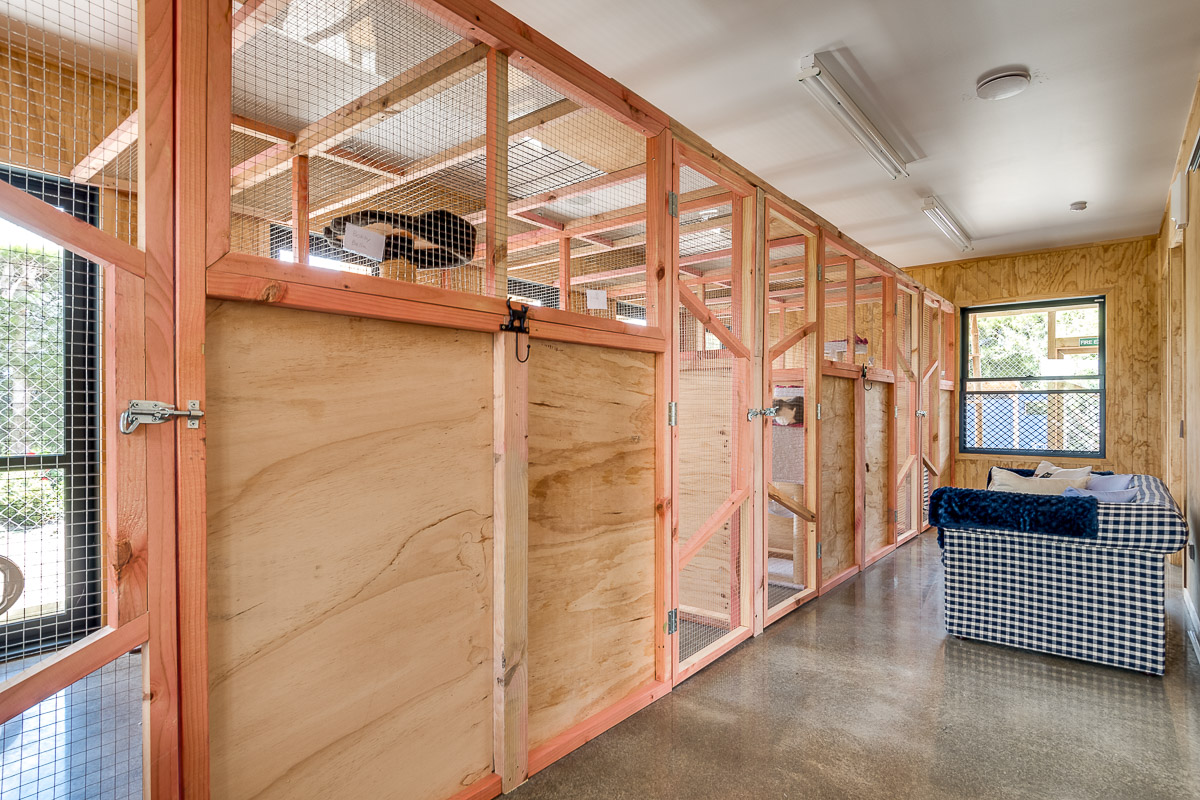 Whiskers & Paws Luxury Cat Resort-Hawkes Bay