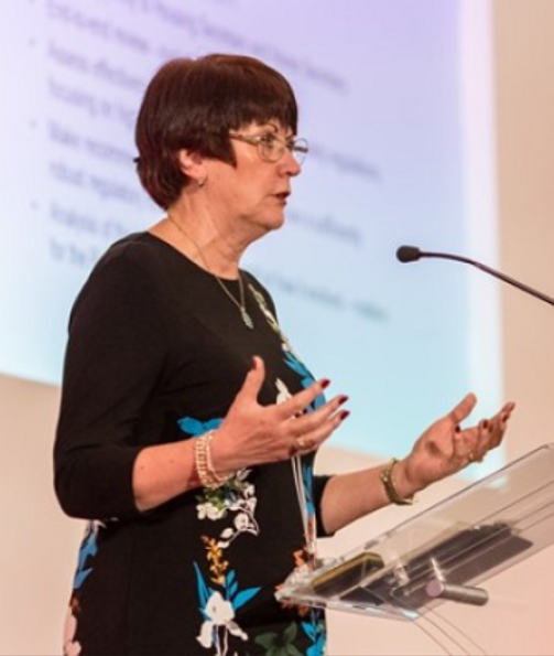 Dame Judith Hackitt appointed to lead building control group