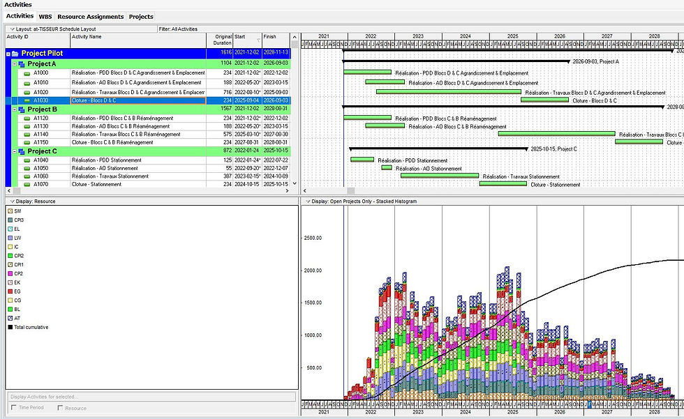 Stacked Histograms in Primavera P6: A Comprehensive Overview