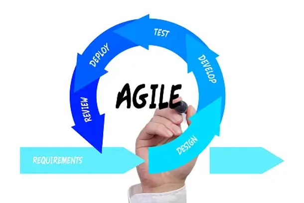 Predictive and Agile project life cycles