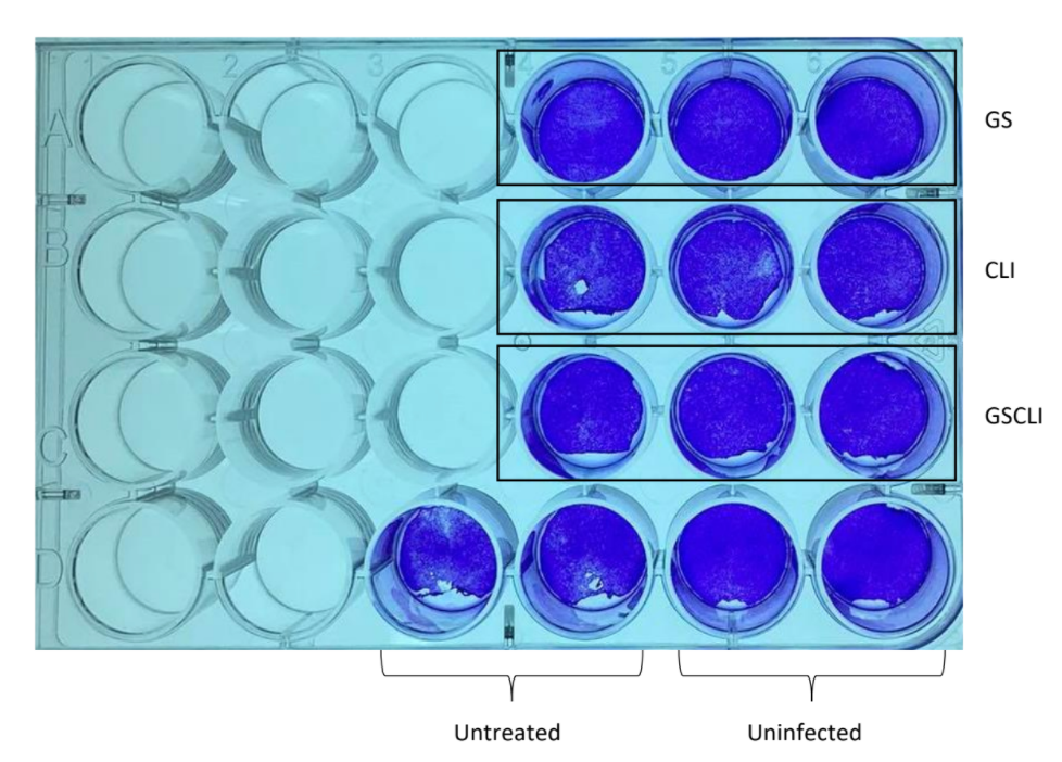 FIP Treatment Knowledge