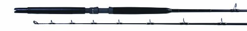 Billfisher 7-Feet Boat Standup Conventional Rod | SIGONNA PULSE