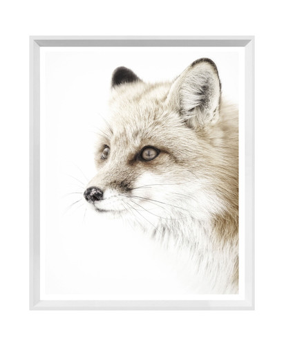 Red Fox | James Reid Furniture