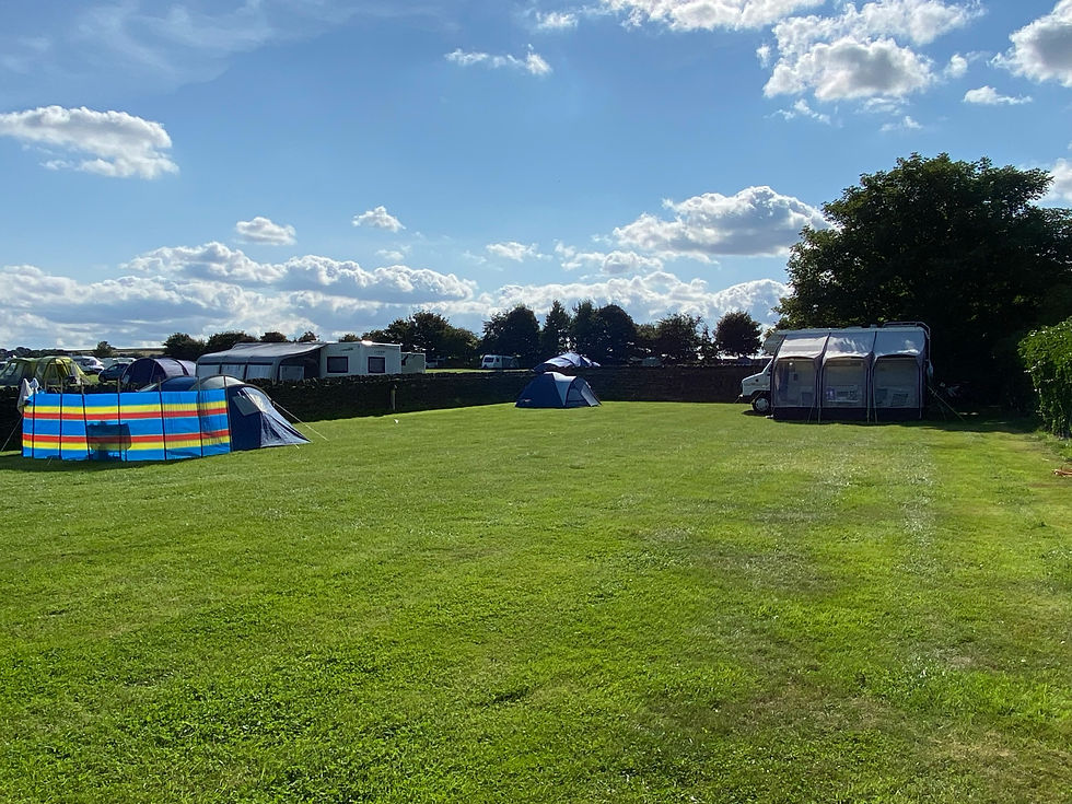 GALLERY | ingfieldfarmcamping