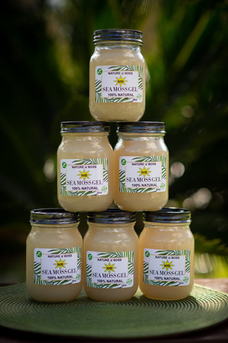 Plain Sea Moss Gel | Nature Iz Boss