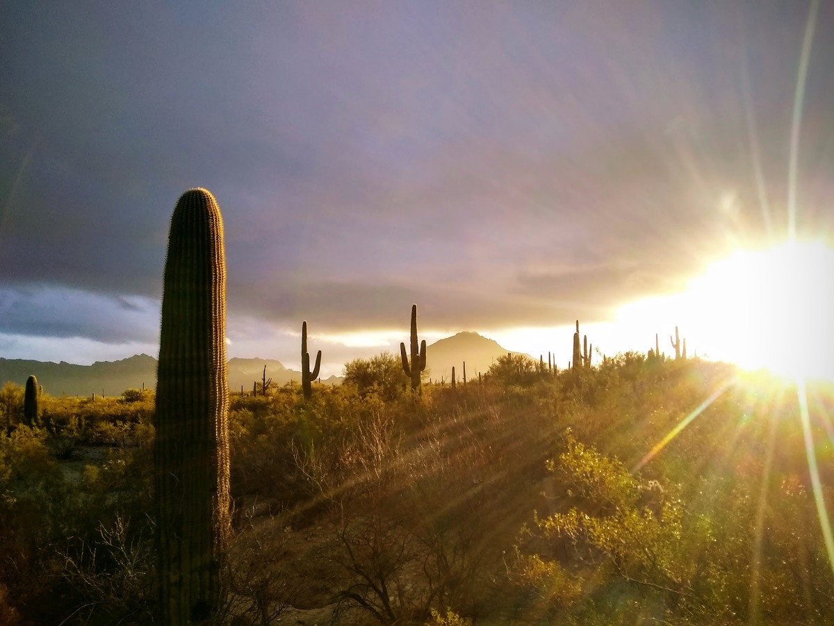 Coaching with Janna | Creative Restoration Retreat