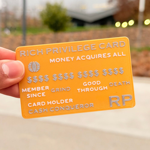 Rich Privilege Identification Card (Custom Name) (3 Pack) with Textured ...