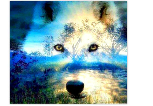 Paysage loup | les-diamants