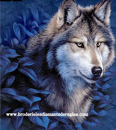Le magnifique loup | les-diamants