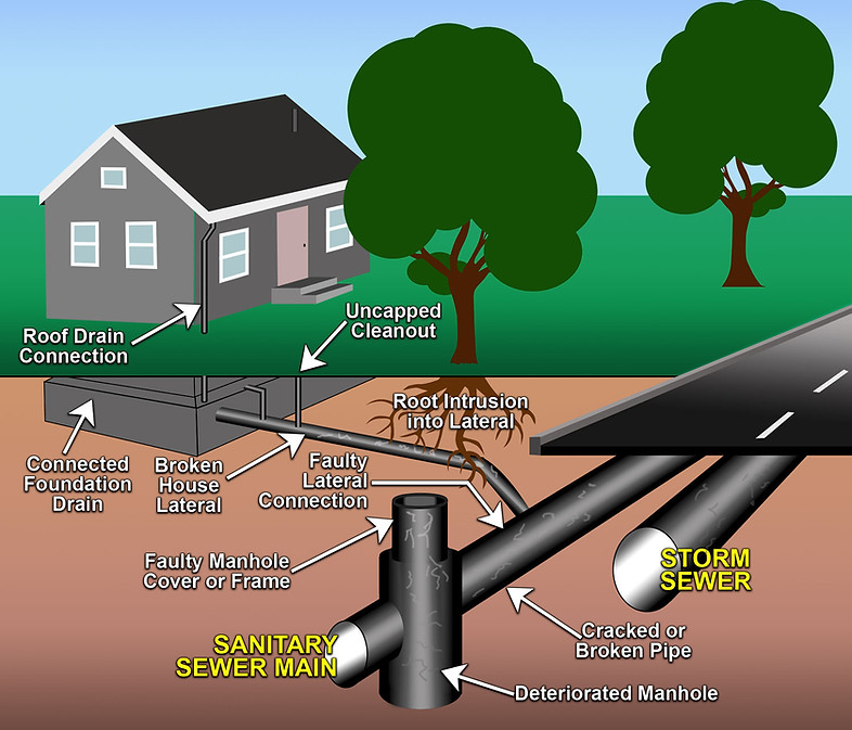 PROGRAMS | jcwprogram