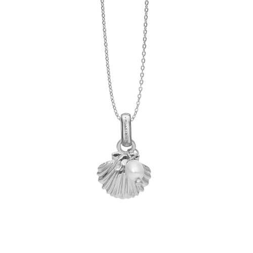 Clam shell Necklace - Silver | 202 Jewellery