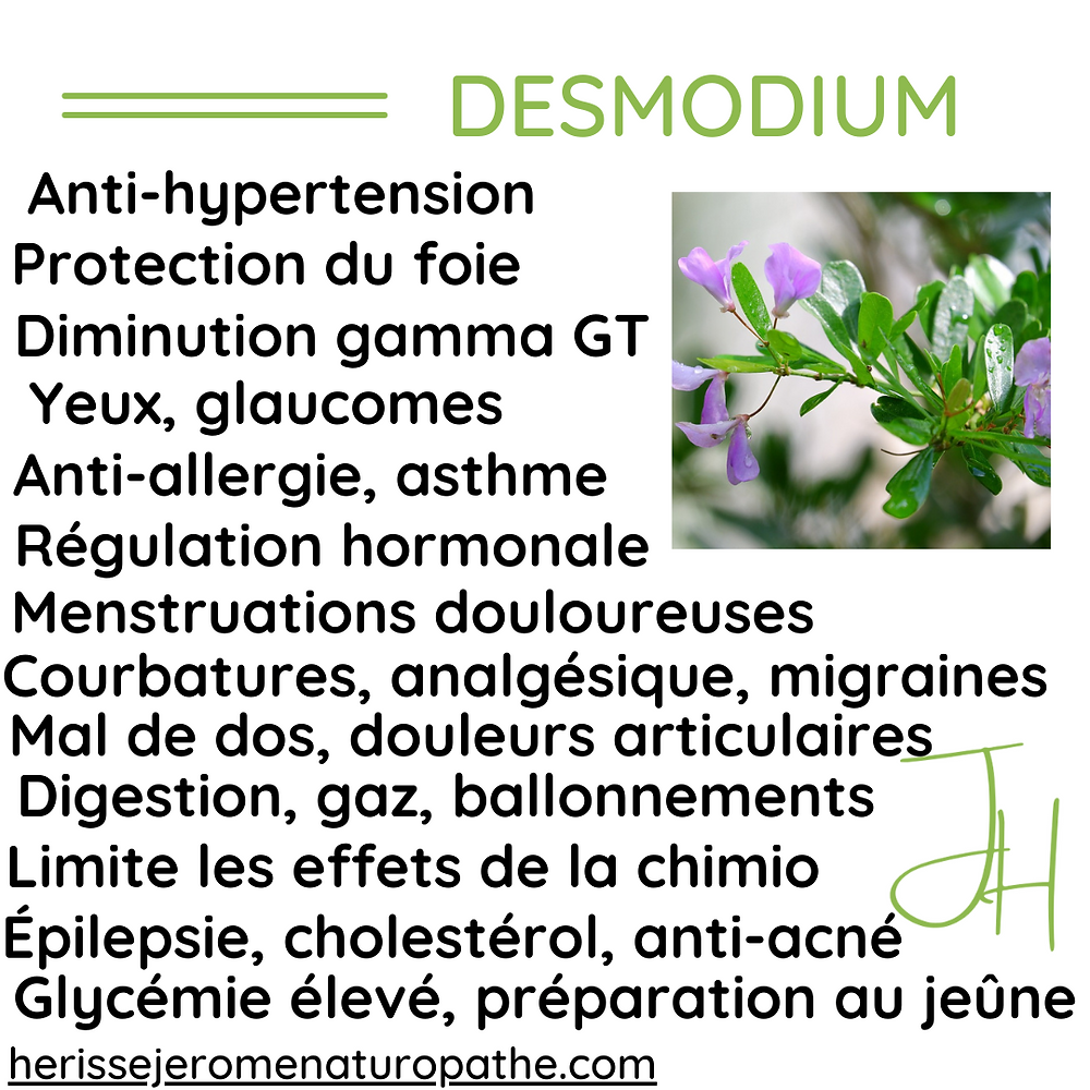 Le desmodium un protecteur du foie