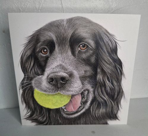 'Fetch' card | Cherry Tree Drawings