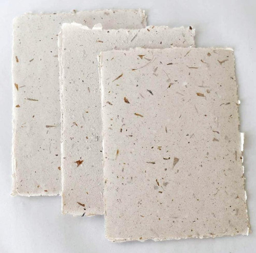 Apple Isle | Creative Paper