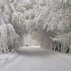 Lake community | Spring Lake Missouri | United States