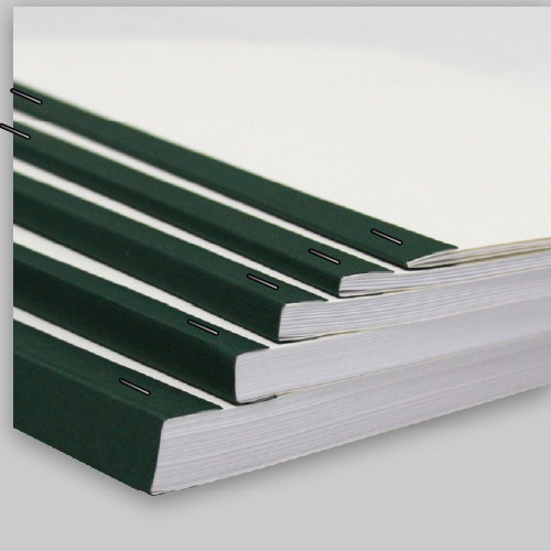 BINDER STRIPS WITH STAPLES | Repro Graphix, Inc.