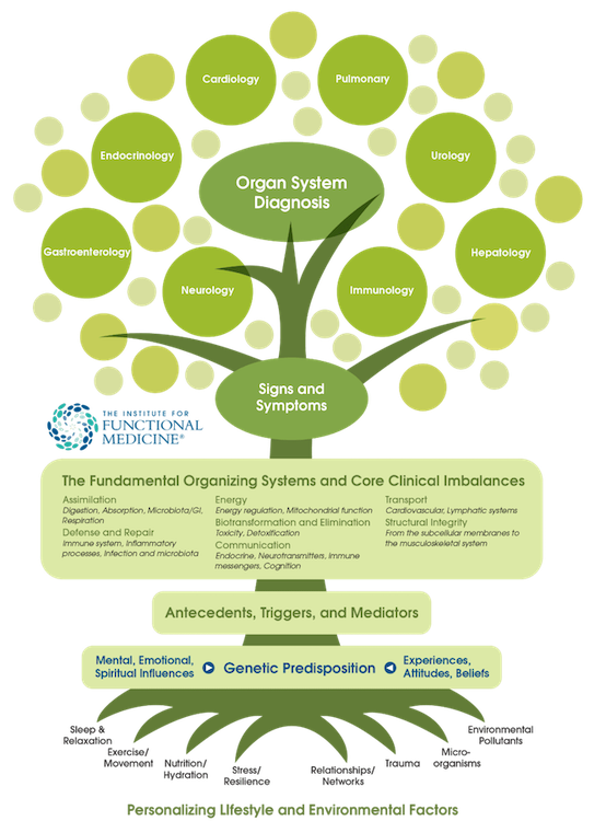 About Debora Tingley, Functional Medicine Practitioner